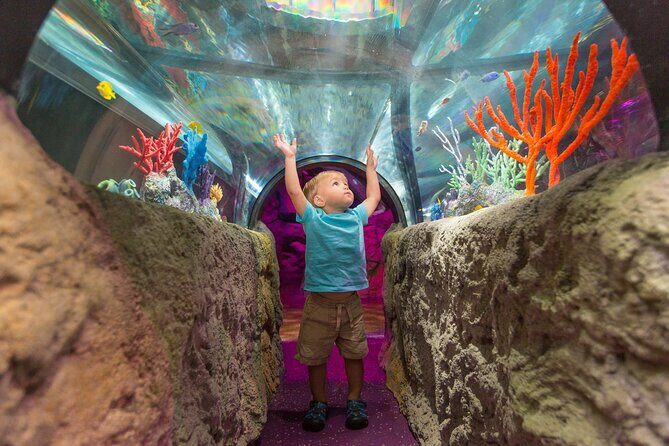 Sea Life Charlotte Concord Aquarium Admission Ticket - The exhibits and highlights