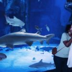SEA LIFE Charlotte-Concord Aquarium General Admission - Practical Tips for Your Visit