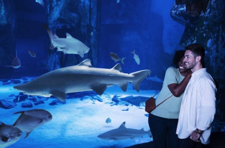SEA LIFE Charlotte-Concord Aquarium General Admission - Practical Tips for Your Visit