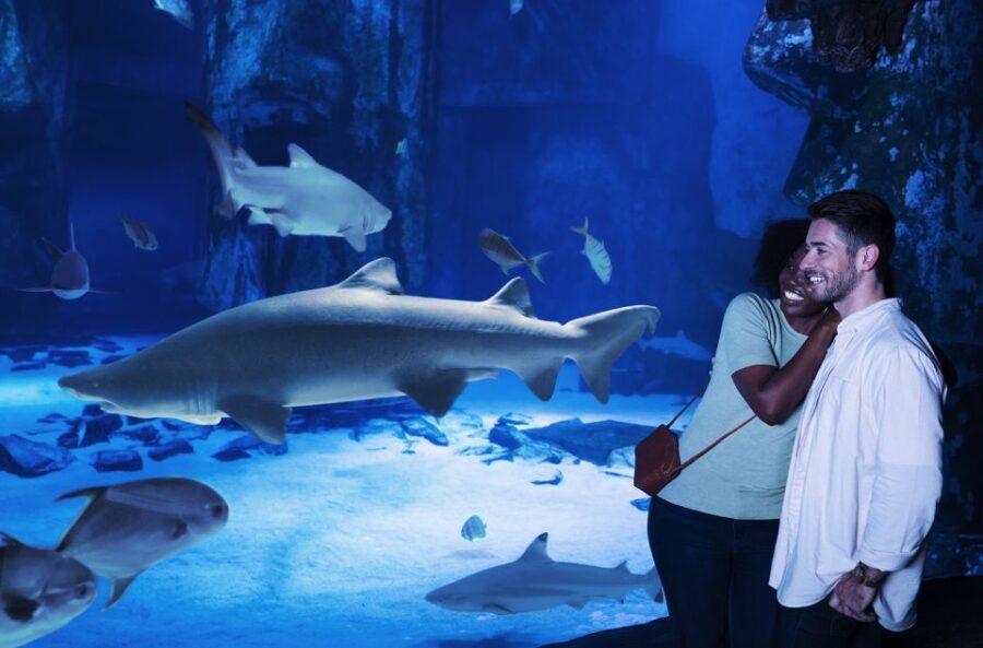 SEA LIFE Charlotte-Concord Aquarium General Admission - Practical Tips for Your Visit