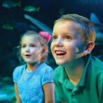 SEA LIFE Kansas City Aquarium Admission Ticket - Practical Tips for Visiting