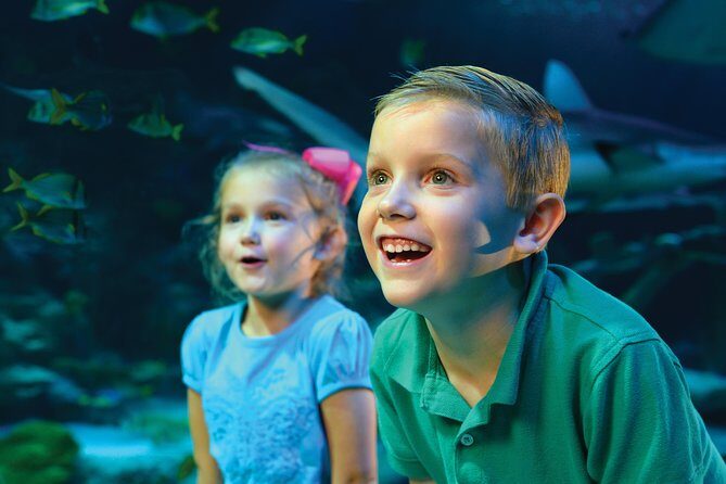 SEA LIFE Kansas City Aquarium Admission Ticket - Practical Tips for Visiting