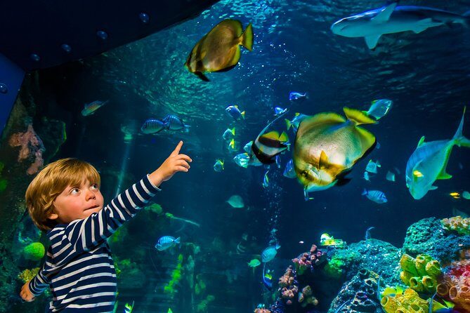 SEA LIFE Konstanz Admission Ticket - FAQs