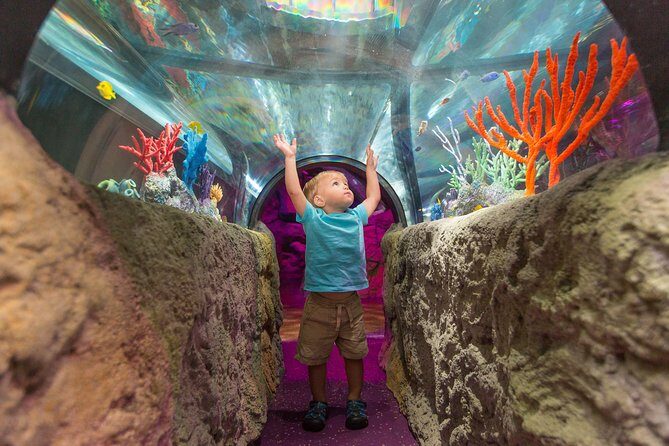 SEA LIFE Michigan Aquarium Admission Ticket - FAQ