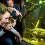 SEA LIFE Munich Admission Ticket - Final Thoughts: Is It Worth It?