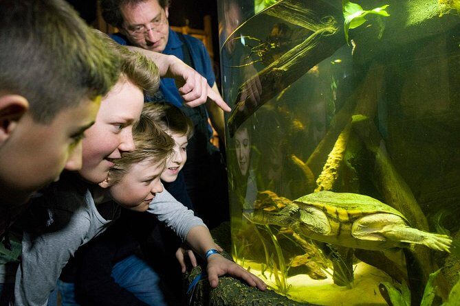 SEA LIFE Munich Admission Ticket - Final Thoughts: Is It Worth It?