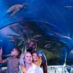 SEA LIFE New Jersey at American Dream - Introduction