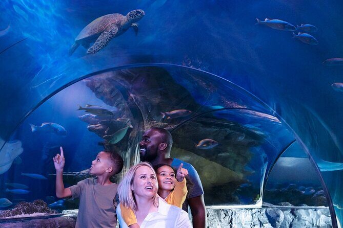 SEA LIFE New Jersey at American Dream - Introduction