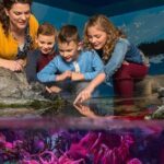 SEA LIFE Orlando Aquarium - FAQ