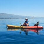 Sea Lion Kayak Tour - Santa Barbara Harbor - What Travelers Are Saying