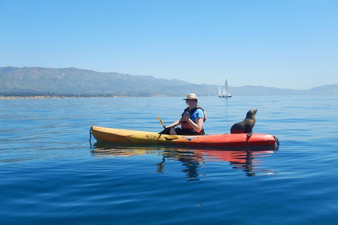 Sea Lion Kayak Tour - Santa Barbara Harbor - What Travelers Are Saying