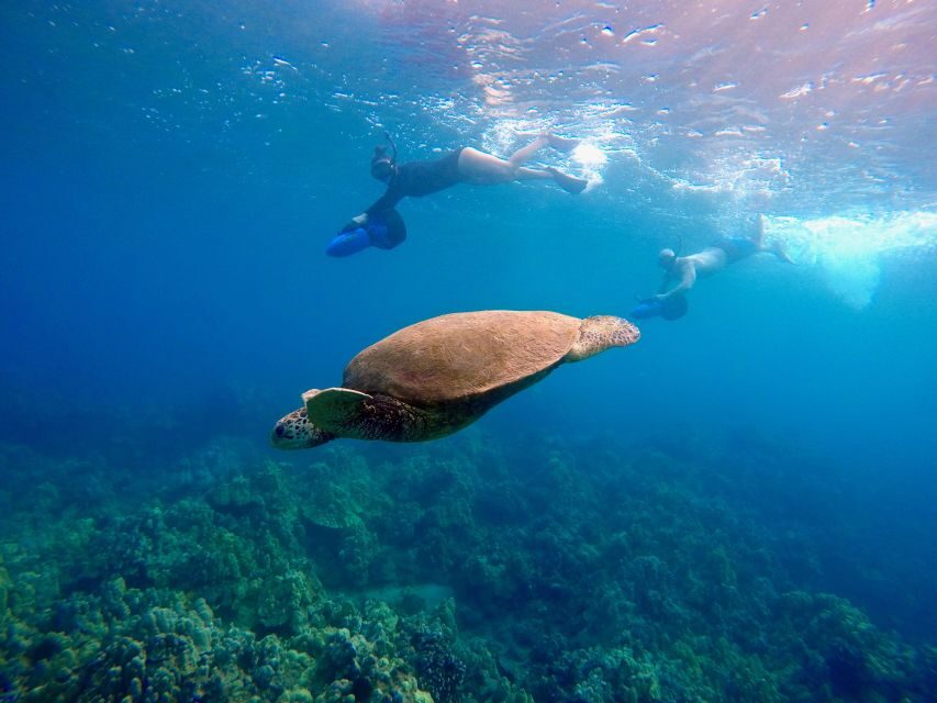 Sea Scooter Snorkeling Guided Tour - Wailea Beach - Why This Tour Shines