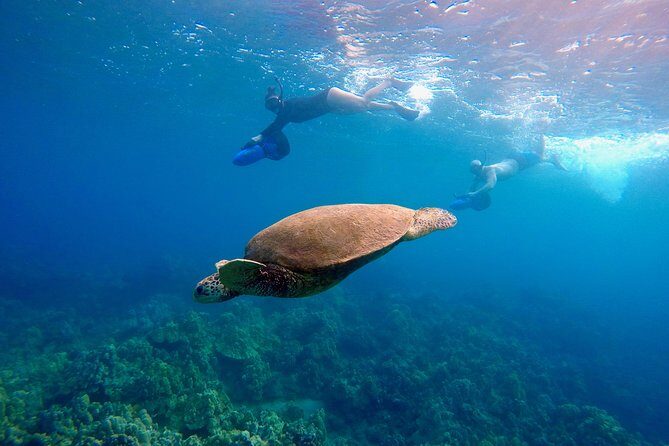 Sea Scooter Snorkeling Guided Tour - Wailea Beach - Practical Details That Matter