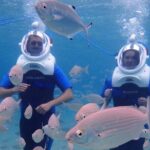 Sea Trek Diving Experience in Costa Teguise - What Travelers Are Saying (And Why They Keep Coming Back)