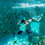 Seapark: Swimming in Pool Aquarium with Authentic Creatures - Authentic Marine Encounters: What Makes It Stand Out