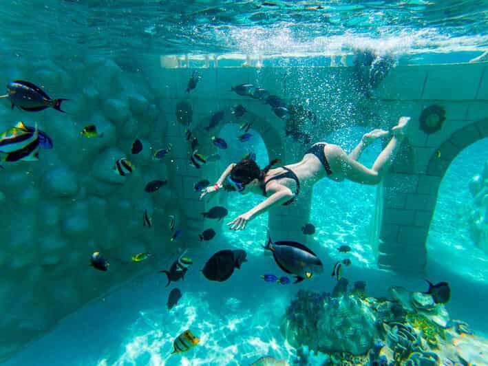 Seapark: Swimming in Pool Aquarium with Authentic Creatures - Authentic Marine Encounters: What Makes It Stand Out