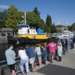Seattle City and Snoqualmie Falls Half-Day Guided Tour - Who Should Take This Tour?
