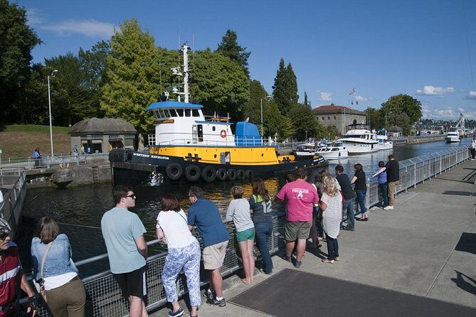 Seattle City and Snoqualmie Falls Half-Day Guided Tour - Who Should Take This Tour?