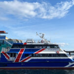 Seattle: Half-Day Wildlife and Whale Watching Cruise - Why This Tour Excels for Travelers