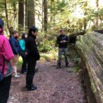 Seattle: Longmire in Mount Rainier Winter Day Tour - In-Depth Review of the Longmire in Mount Rainier Winter Day Tour