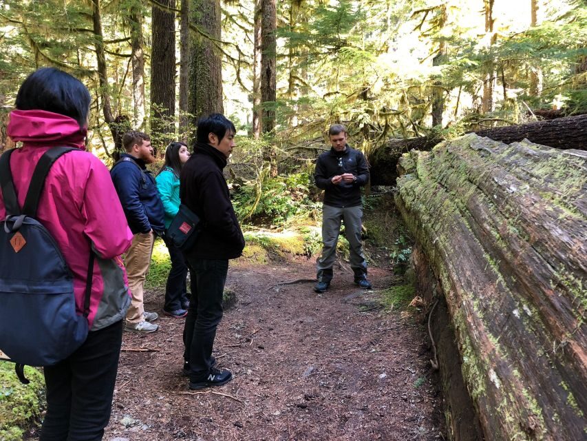 Seattle: Longmire in Mount Rainier Winter Day Tour - In-Depth Review of the Longmire in Mount Rainier Winter Day Tour