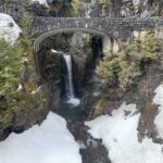 Seattle: Mt. Rainier Hiking w/ Waterfalls, Glaciers & Trees - Who Will Love This Tour?