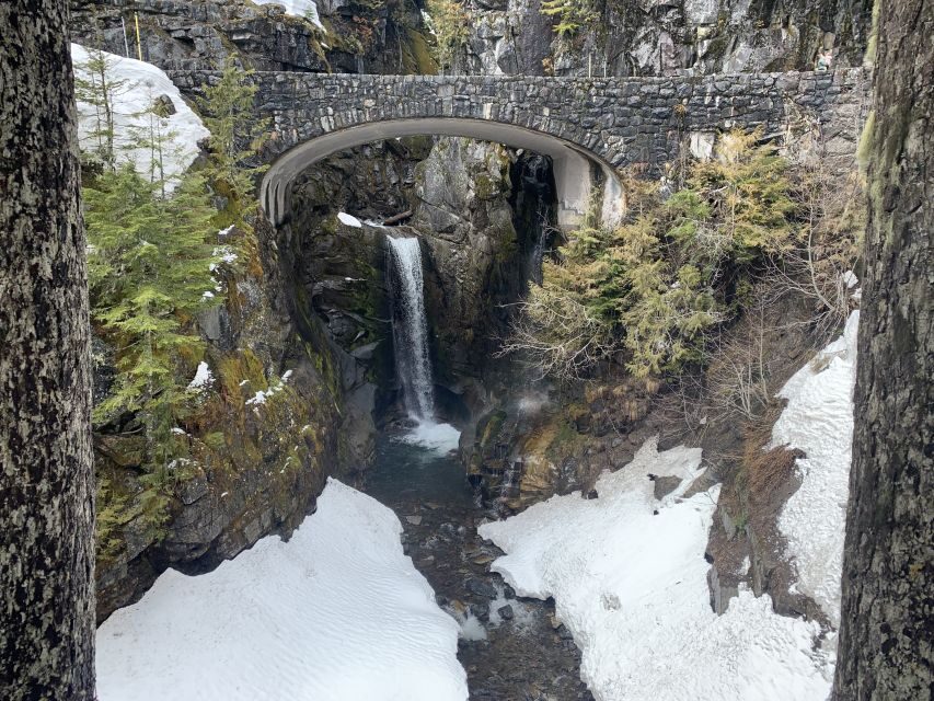 Seattle: Mt. Rainier Hiking w/ Waterfalls, Glaciers & Trees - Who Will Love This Tour?