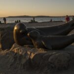 Seattle: Night Tour with Local Guide - Who Should Consider This Tour?