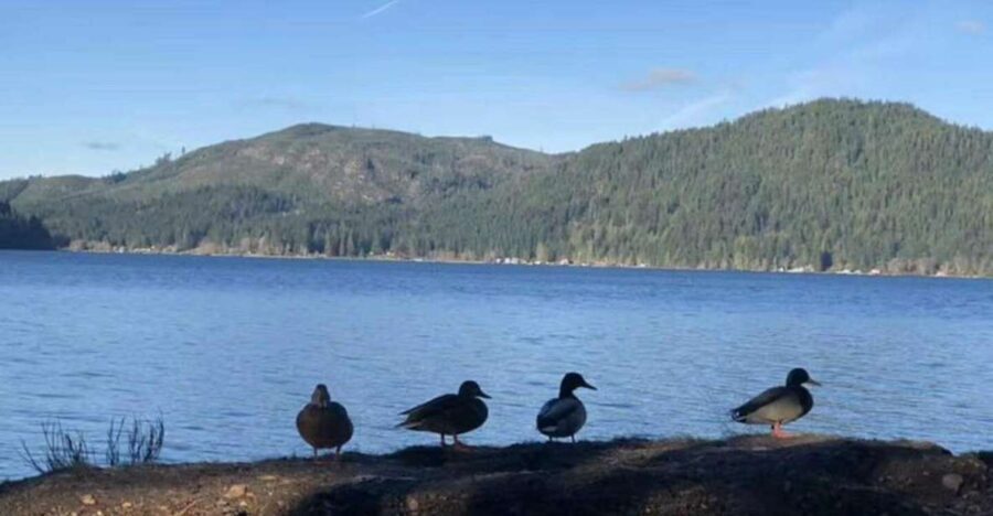 Seattle: Olympic National Park Day Tour with Scenic Ferries - FAQs