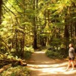 Seattle: Olympic National Park Small-Group Tour - Key Points