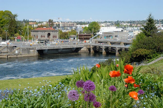 Seattle Pre-Cruise Tour: Transportation & Seattle City Tour - The Guide and Group Size: Why It Matters