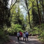 Seattle Wine and Waterfall Luxury Small-Group Day Tour with Lunch - A thorough look at the itinerary