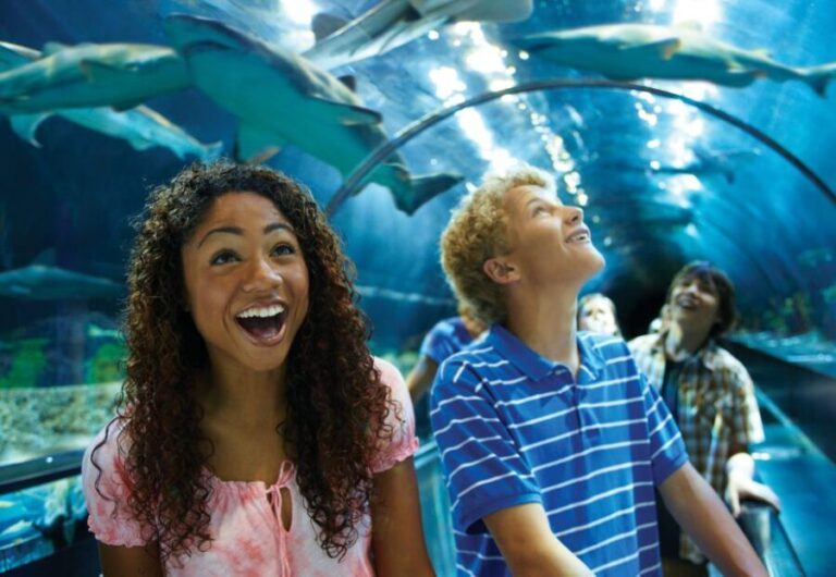 SeaWorld Orlando: Park Admission Ticket - The Value of a Multi-Park Ticket