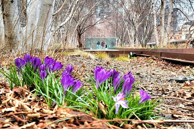 Secrets of the High Line - The Value of This Tour
