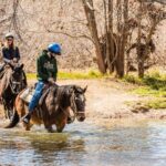 Sedona Horseback Rides At Dead Horse Ranch with River Crossing - Authentic reviews: what others are saying
