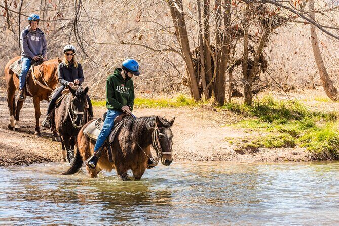 Sedona Horseback Rides At Dead Horse Ranch with River Crossing - Authentic reviews: what others are saying