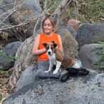 Sedona & Oak Creek Canyon 2-Hour Private Tours - The Value of This Tour