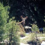 Sedona: PRIVATE 2-Hour Lil' Outlaw Trail Jeep Tour - What to Expect During Your Ride