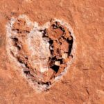 Sedona: The Scientific and Spiritual Vortex Tour - Frequently Asked Questions