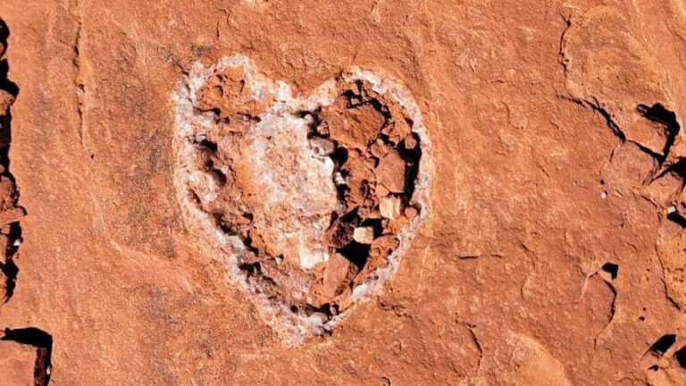 Sedona: The Scientific and Spiritual Vortex Tour - Frequently Asked Questions