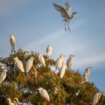 See the real Florida with a Private Nature and Wildlife Boat Tour - Practical Details and Tips