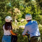 Segway Tour by ComhiC - Tête d'Or Park - 2h - Practical Tips for Booking and Participating