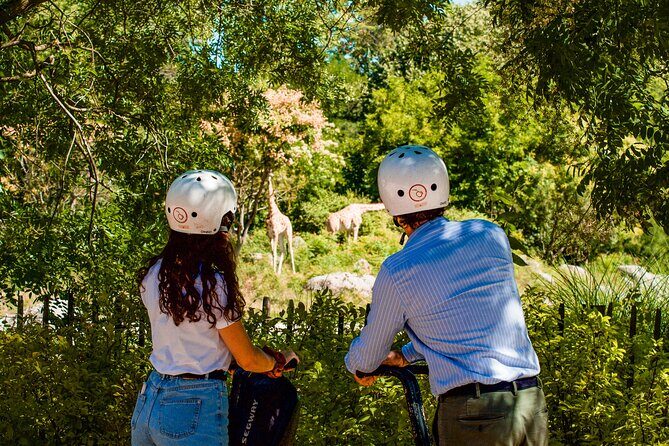 Segway Tour by ComhiC - Tête d'Or Park - 2h - Practical Tips for Booking and Participating