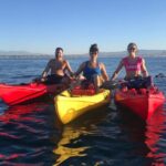 Segway Tours - Final Thoughts: Is it Worth It?