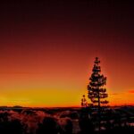 Self Driving Sunset Tour with Dinner and Stargazing in Tenerife - What Makes This Tour Stand Out?
