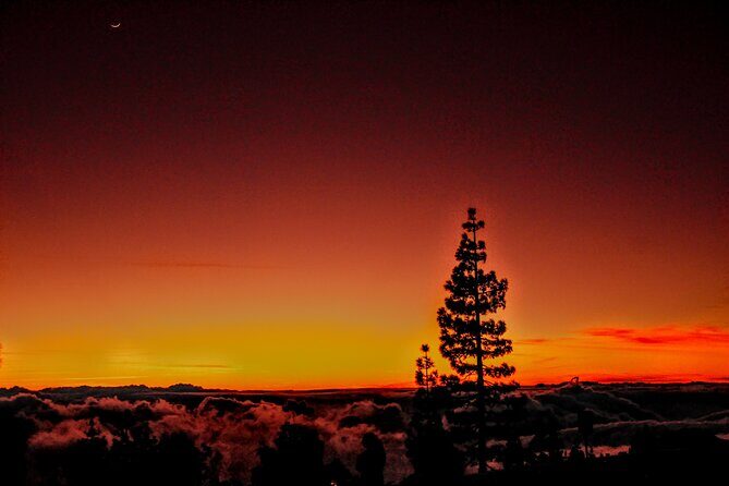 Self Driving Sunset Tour with Dinner and Stargazing in Tenerife - What Makes This Tour Stand Out?