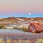 Self-Guided Audio Driving Tour in Petrified Forest National Park - What Are the Main Highlights?
