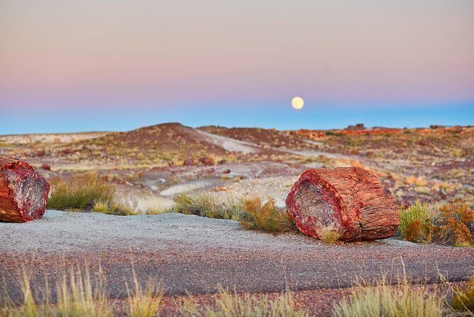 Self-Guided Audio Driving Tour in Petrified Forest National Park - What Are the Main Highlights?