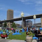 Self-Guided Buffalo Scavenger Hunt: Roaming Buffalo - What to Expect as You Roam Buffalo
