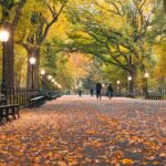 Self Guided "Central Park Movie Tour" Solo Walking Tour in New York City - The Itinerary in Detail